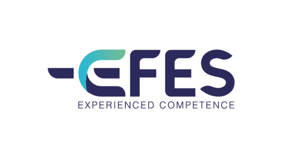 [New member] EFES insurance CJSC | CCI France Arménie